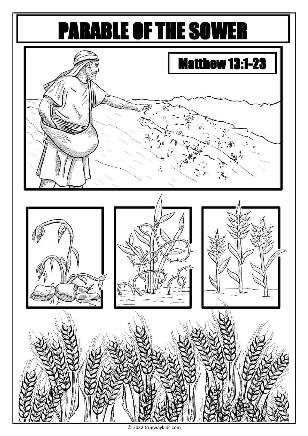 PARABLE OF THE SOWER - Matthew 13:1-23 (Teen Bible lesson) - Trueway Kids PARABLE OF THE SOWER - Matthew 13:1-23 (Teen Bible lesson) - Trueway Kids