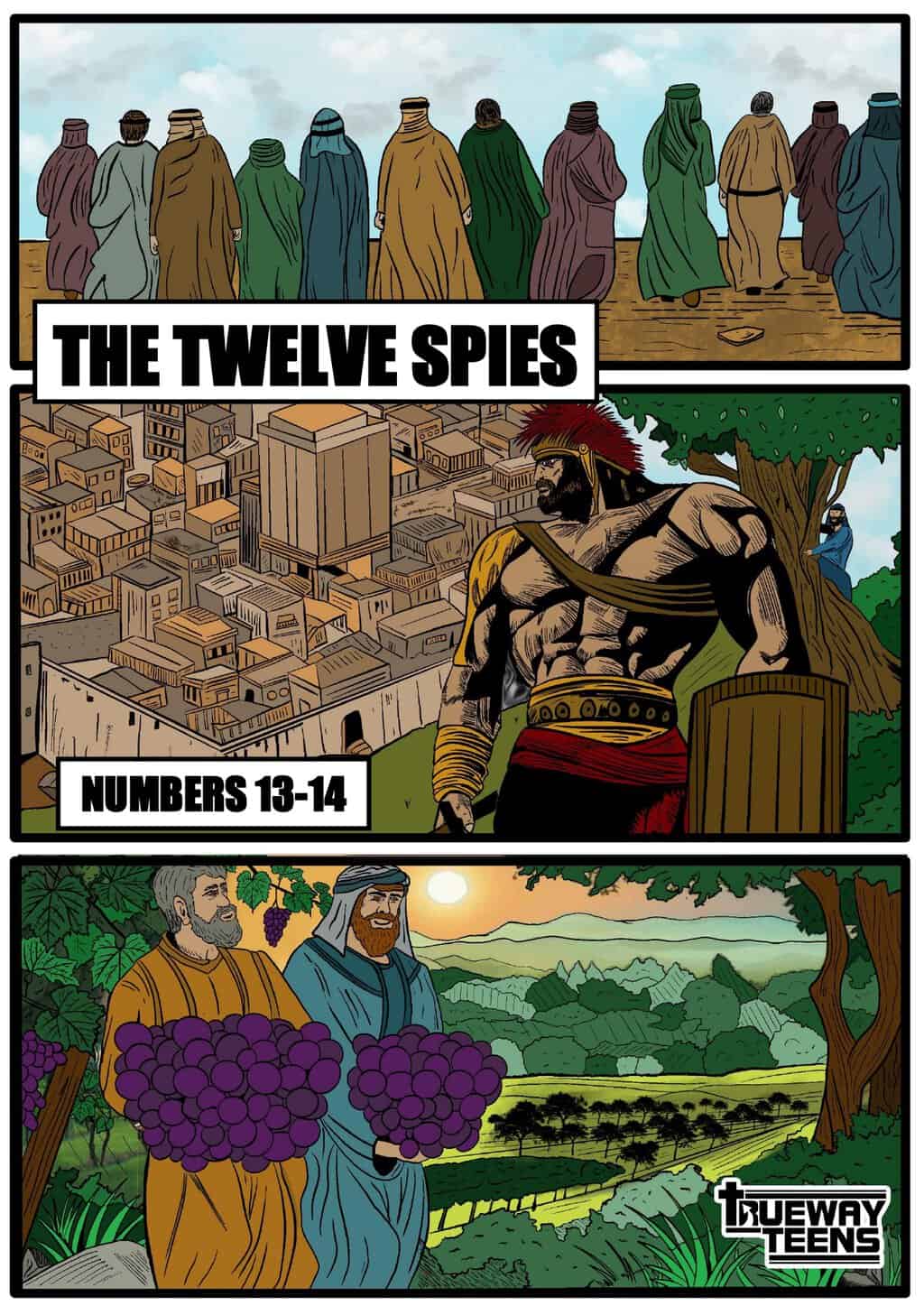 The Twelve Spies & Promised Land - Numbers 13-14 (Bible lesson for teens) - Trueway Kids