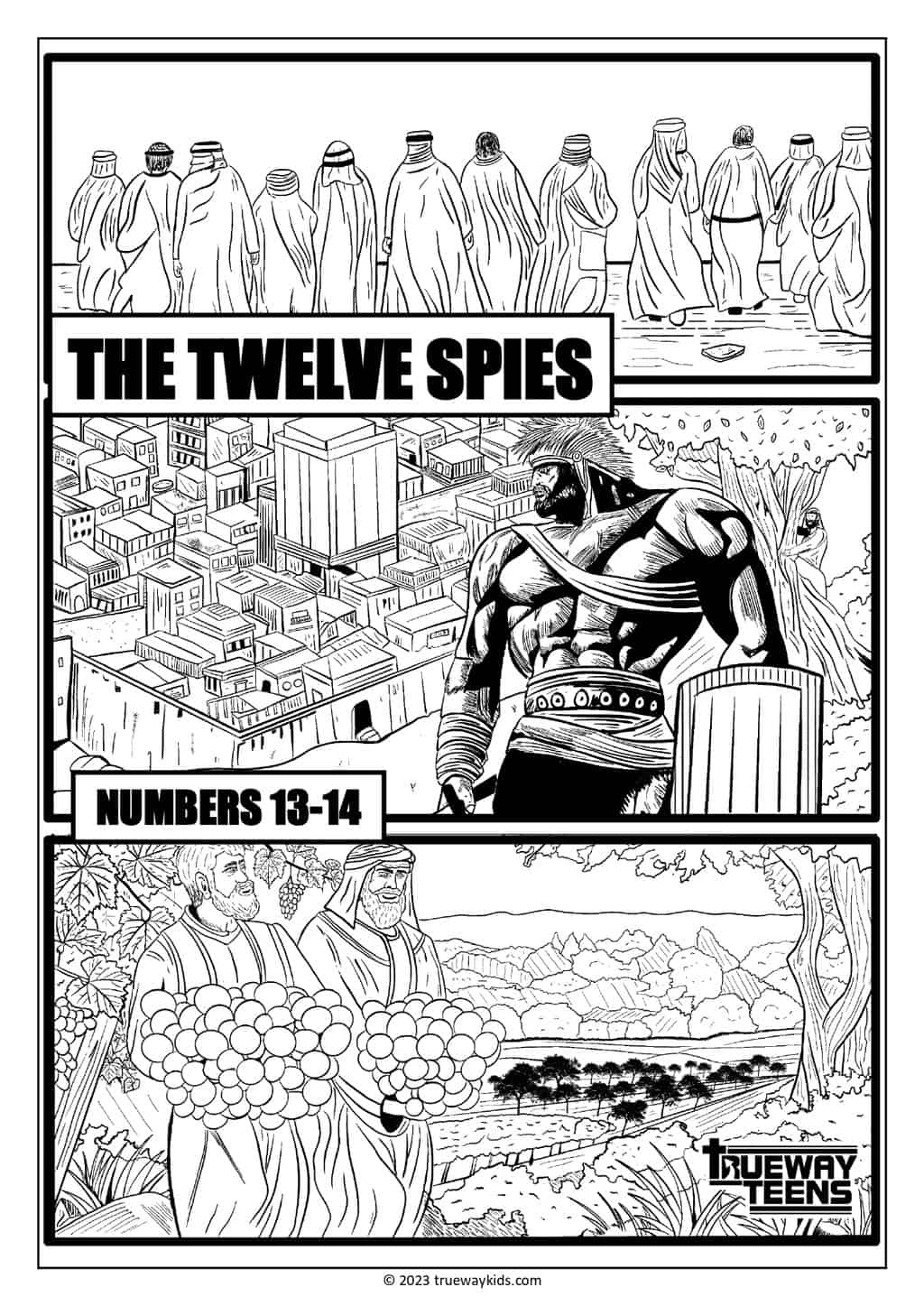 The Twelve Spies & Promised Land - Numbers 13-14 (Bible lesson for teens) - Trueway Kids