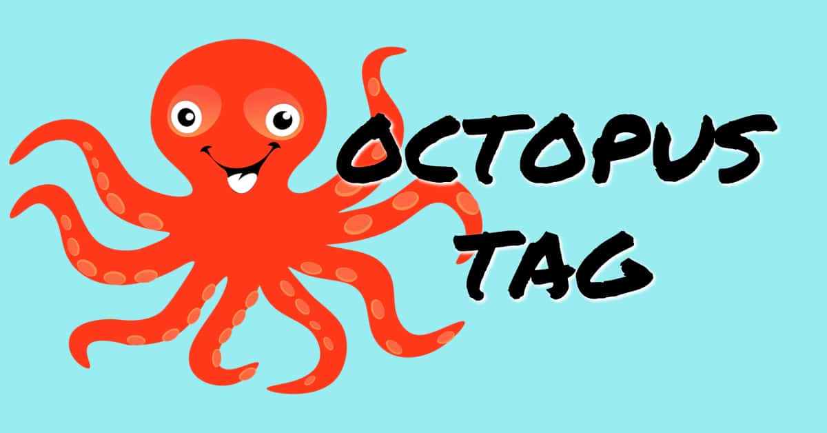 Octopus Tag - Trueway Kids