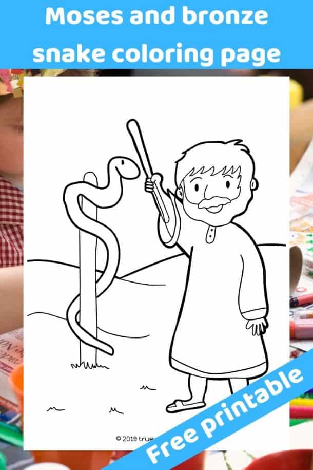 Wandering in the Wilderness - Free Bible lesson for kids - Trueway Kids