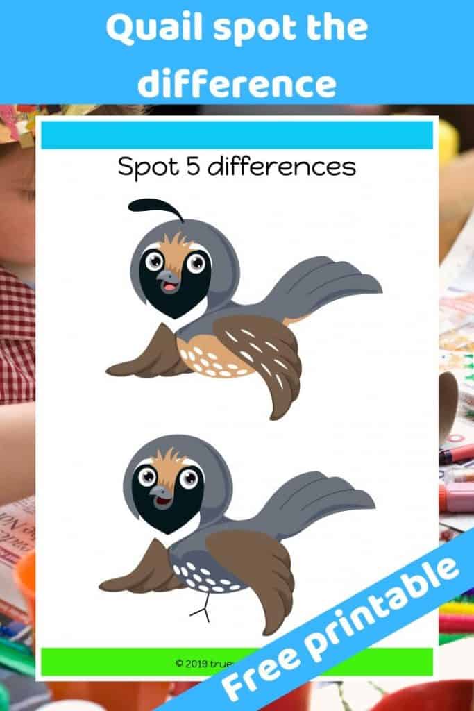 Wandering in the Wilderness - Free Bible lesson for kids - Trueway Kids