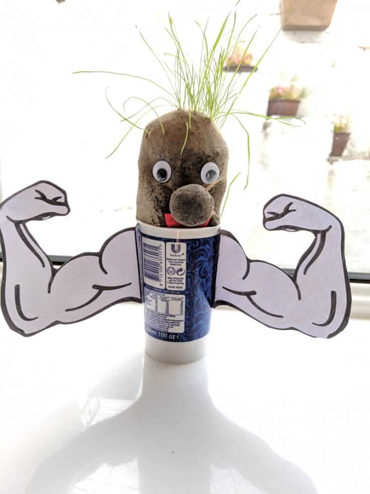 Samson - Free Bible lesson for kids - Trueway Kids