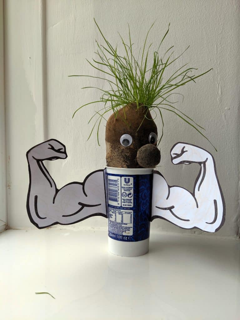 Samson - Free Bible lesson for kids - Trueway Kids