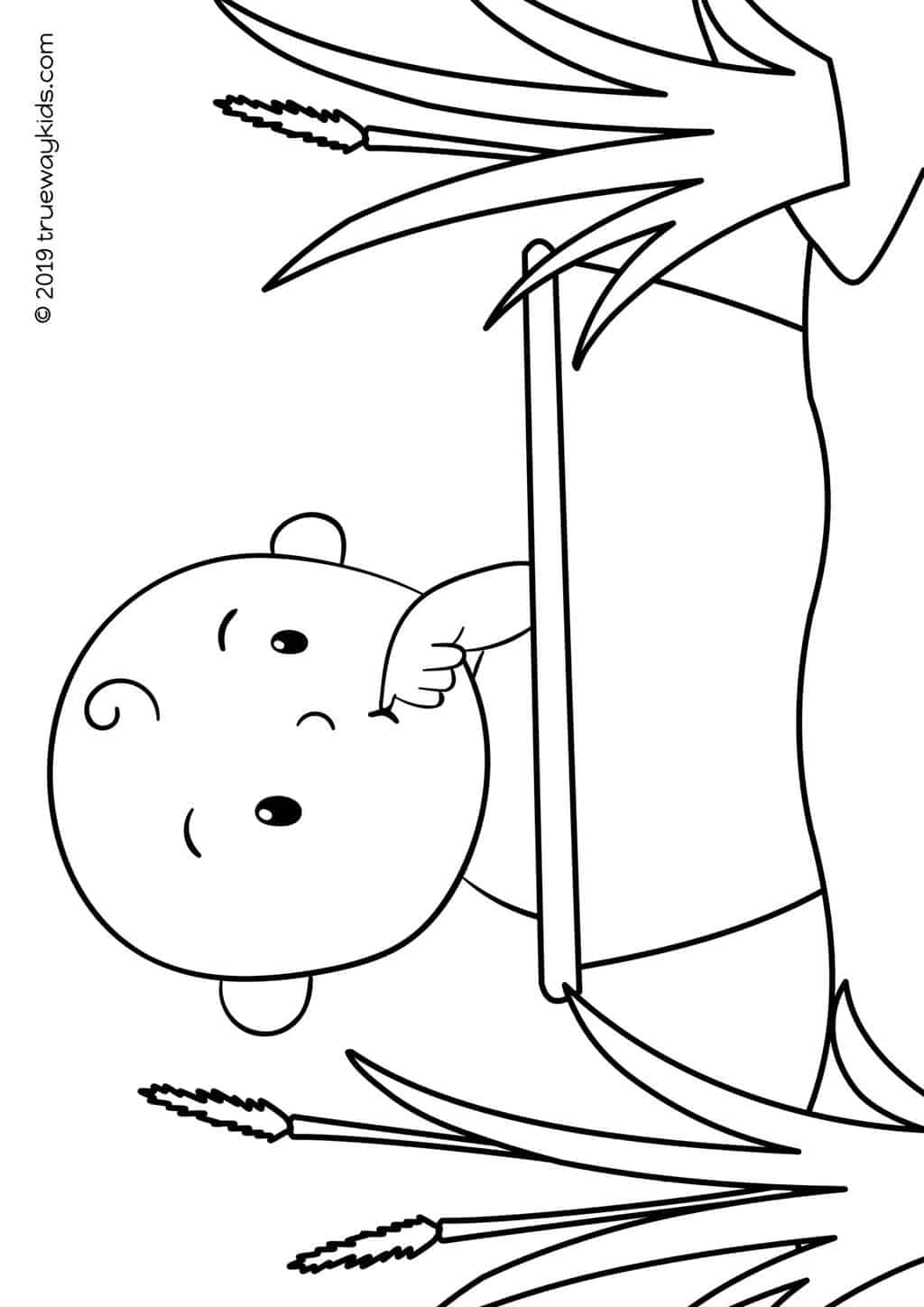 Bebé Moisés - lección de la biblia para niños - Trueway Kids