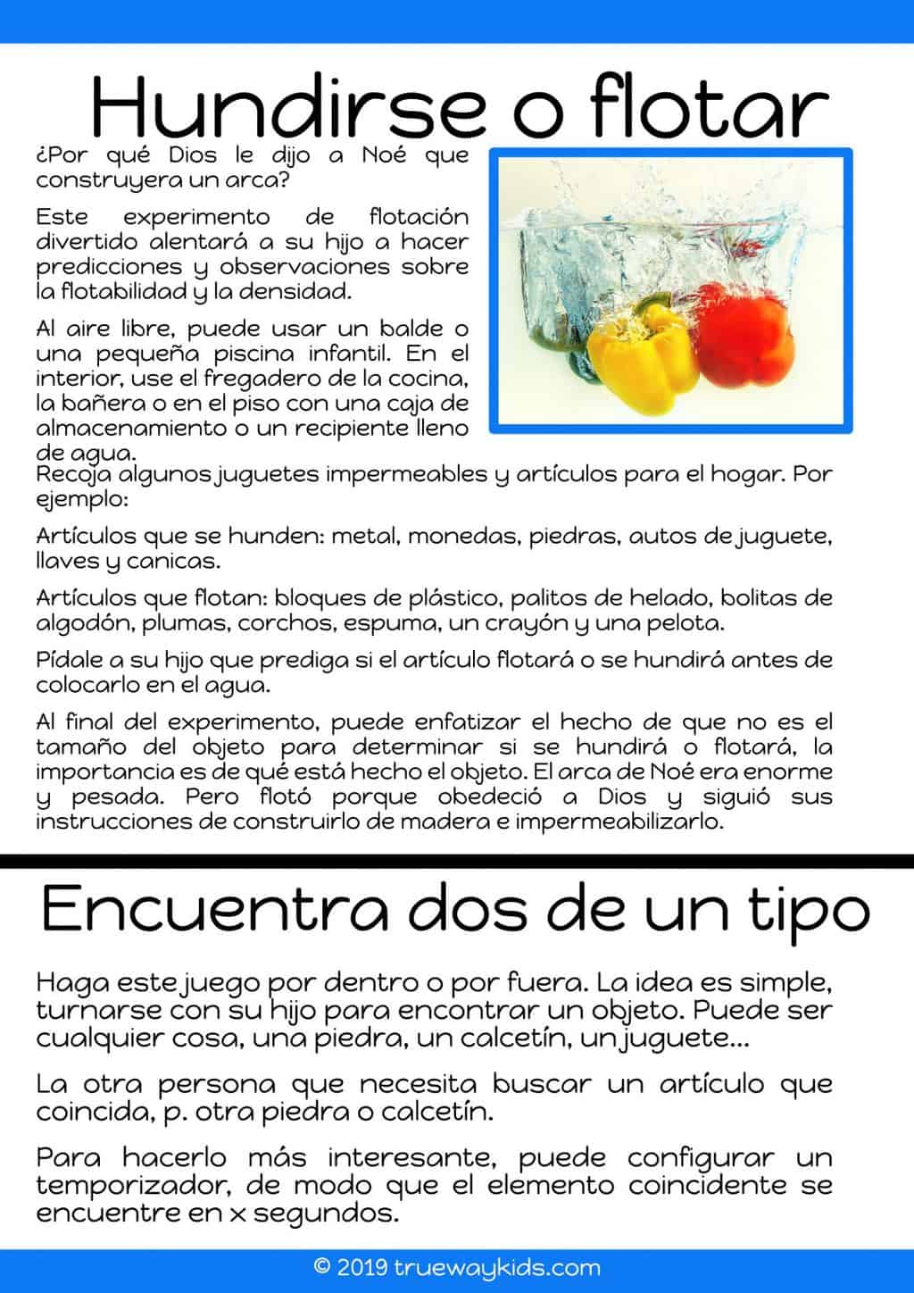 Arca de Noé - Lección de la Biblia para niños - Trueway Kids