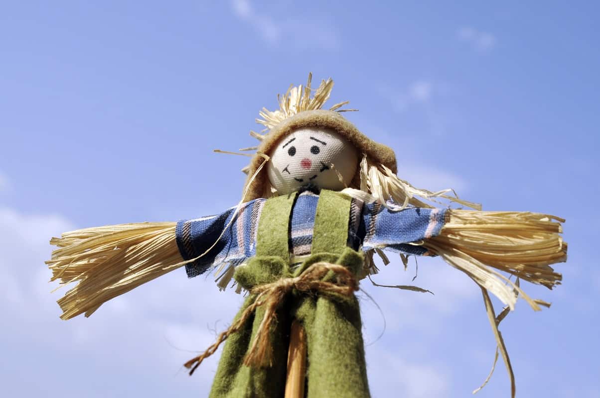The parable of the sower - Bible lesson for kids - Trueway Kids