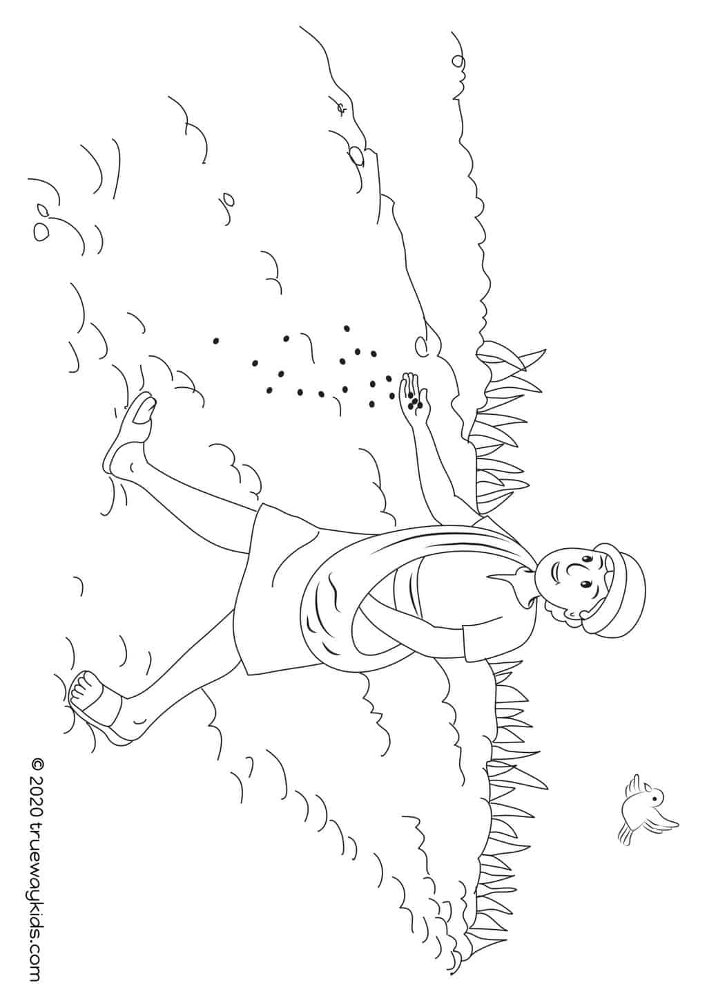 De gelijkenis van de zaaier - Trueway Kids