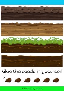 The parable of the sower - Bible lesson for kids - Trueway Kids