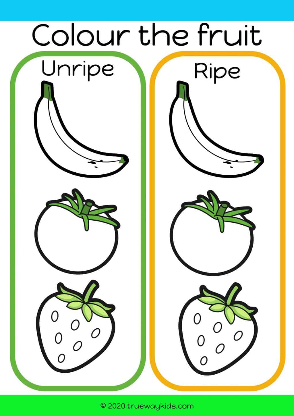 The Parable of the Persistent Widow - Trueway Kids