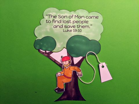 Saggeus - Trueway Kids