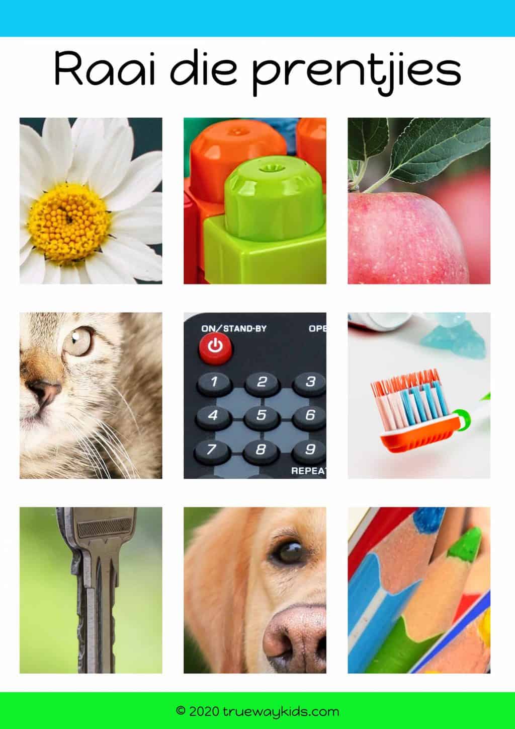 Lasarus - Gratis drukbare Bybel lesse - Trueway Kids