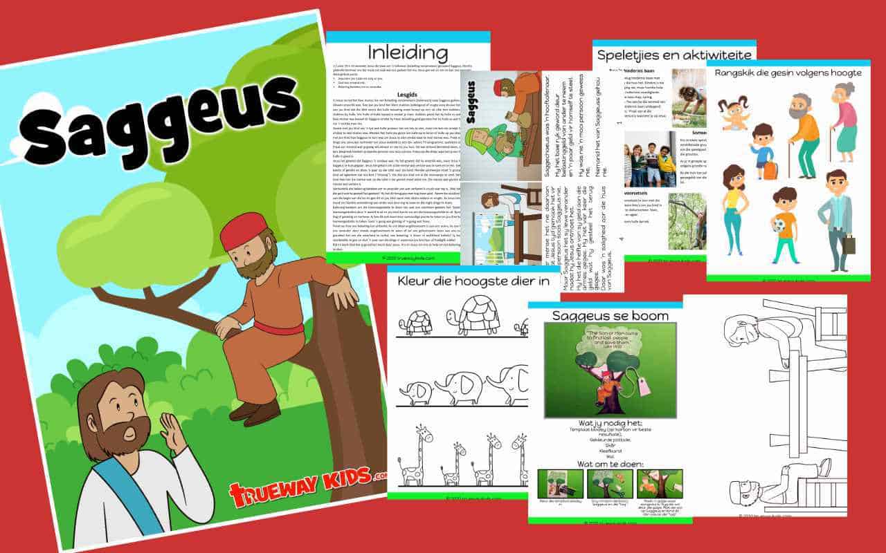 Saggeus - Trueway Kids