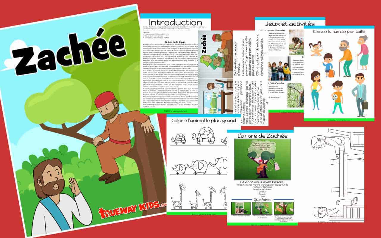 Zachée - Trueway Kids