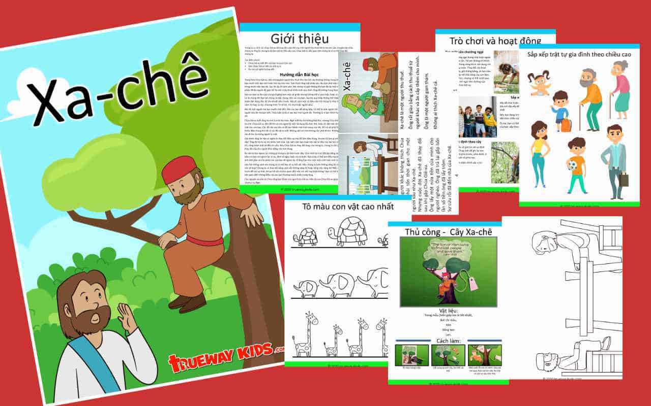 Xa-chê - Trueway Kids