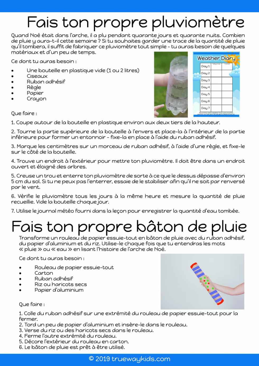 L’arche de Noé - Trueway Kids