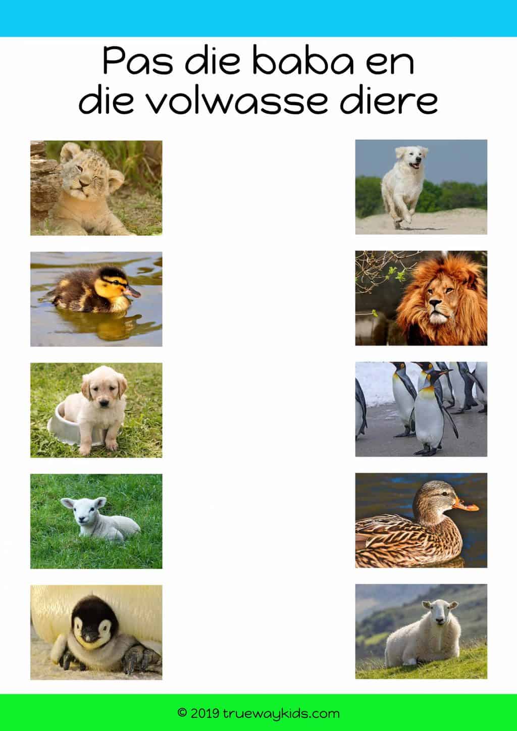 Jesus se kinderjare - Trueway Kids