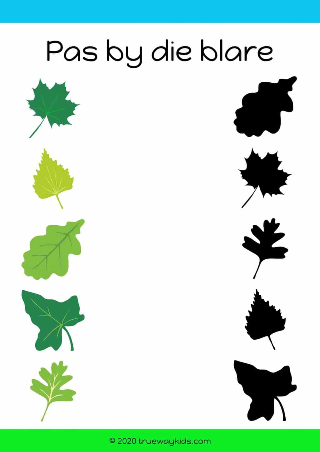 Die Gelykenis van die Mosterdsaad - Trueway Kids