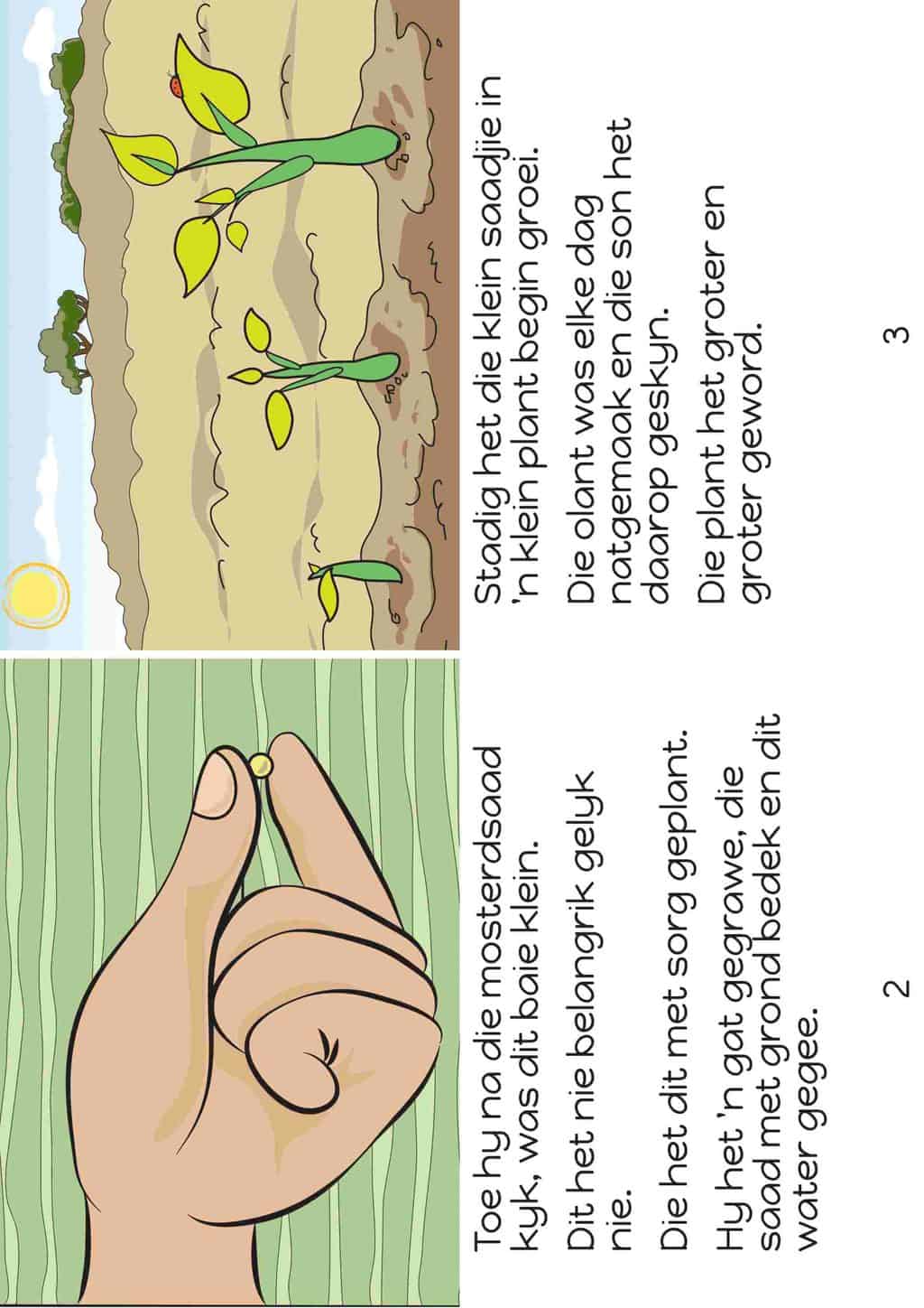 Die Gelykenis van die Mosterdsaad - Trueway Kids