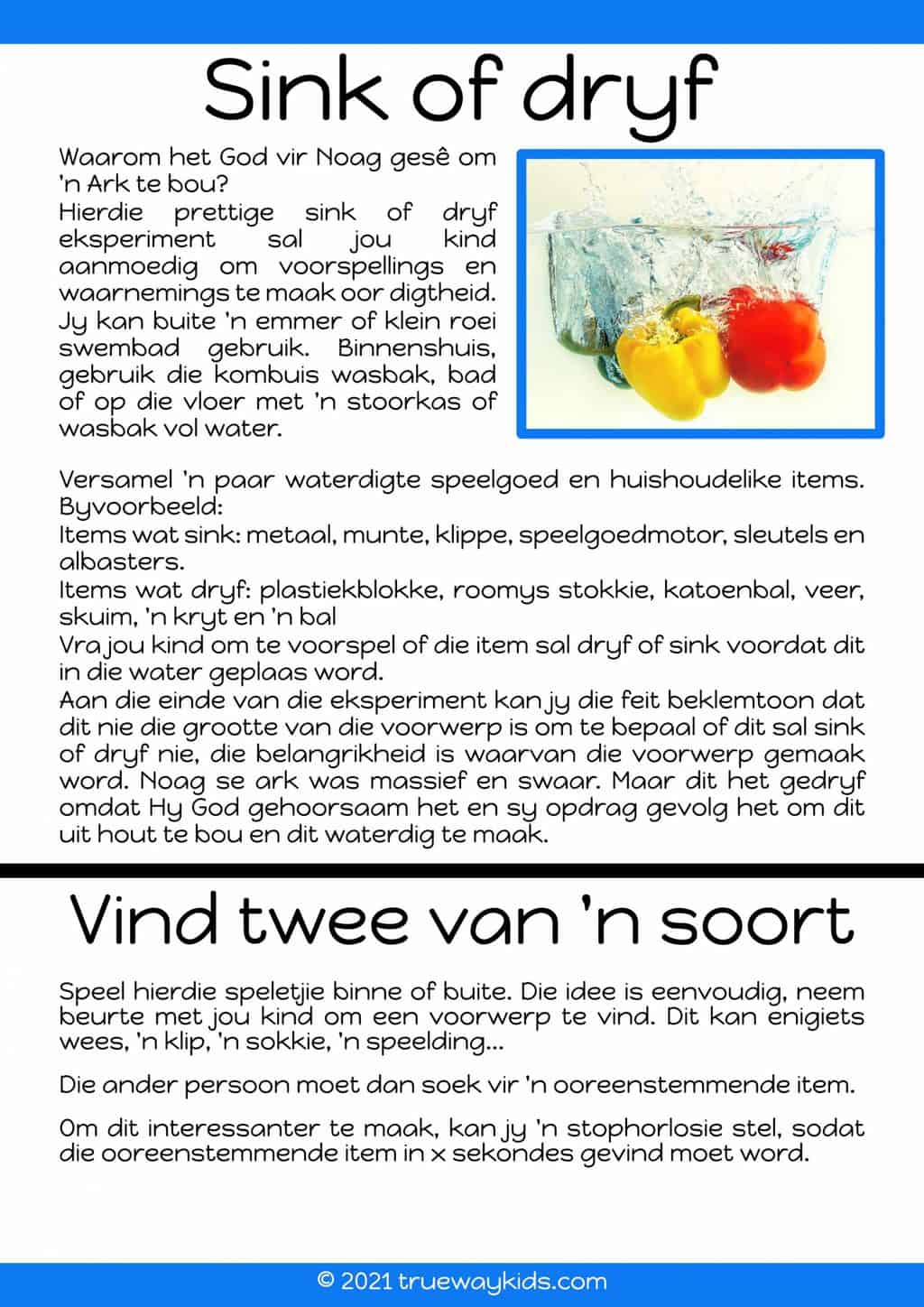 Noag se Ark - Trueway Kids