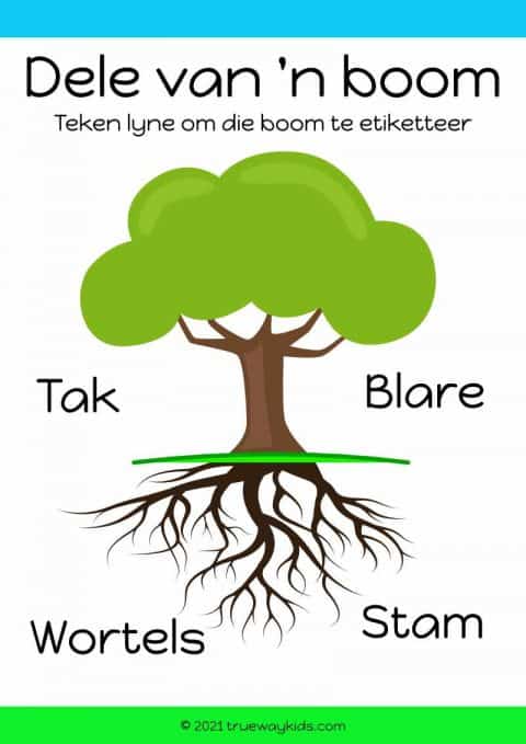 Debora - Gratis drukbare Bybel lesse - Trueway Kids