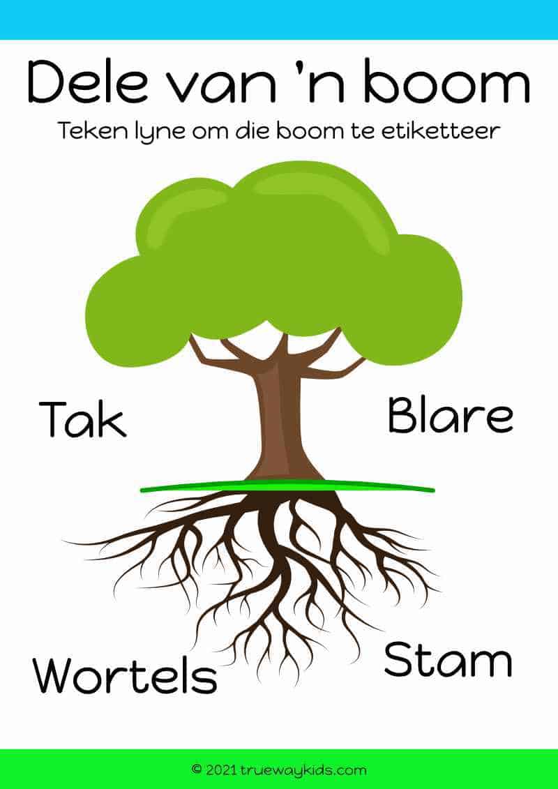 Debora - Gratis drukbare Bybel lesse - Trueway Kids