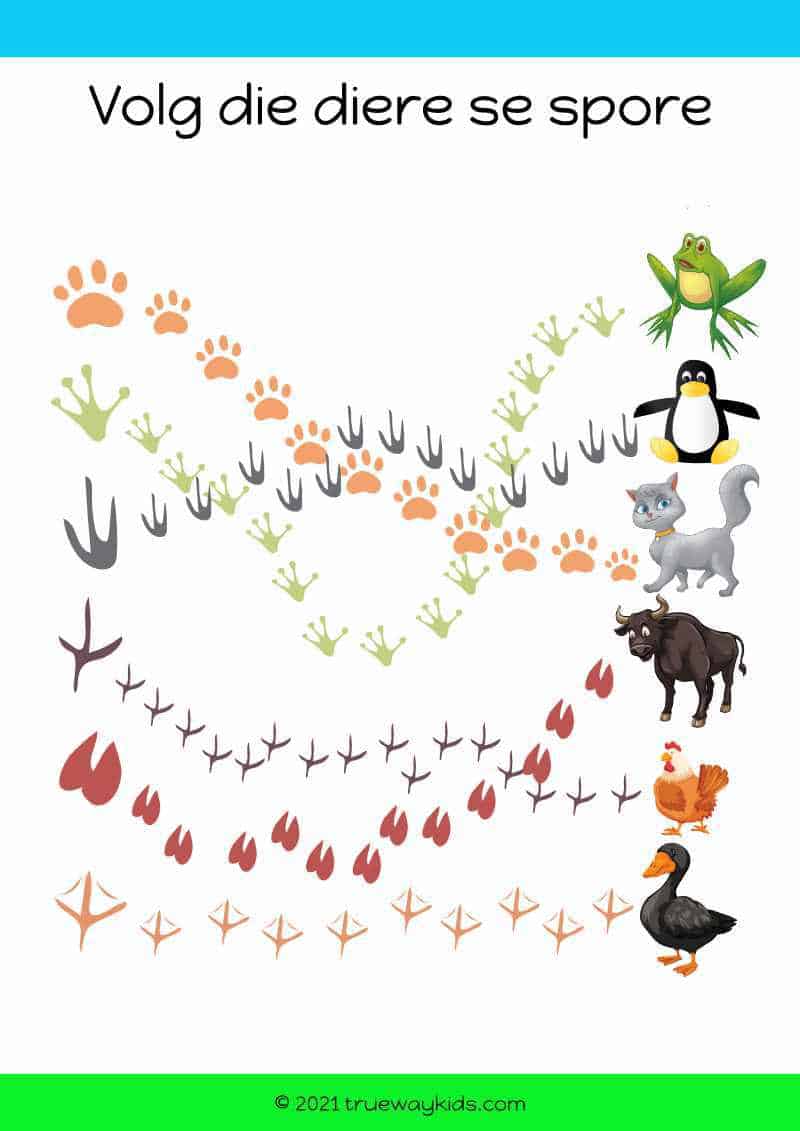 Spreuke - Trueway Kids