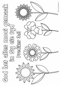 Prediker - Trueway Kids