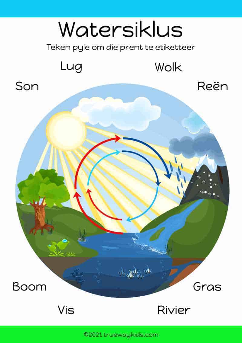 Prediker - Trueway Kids