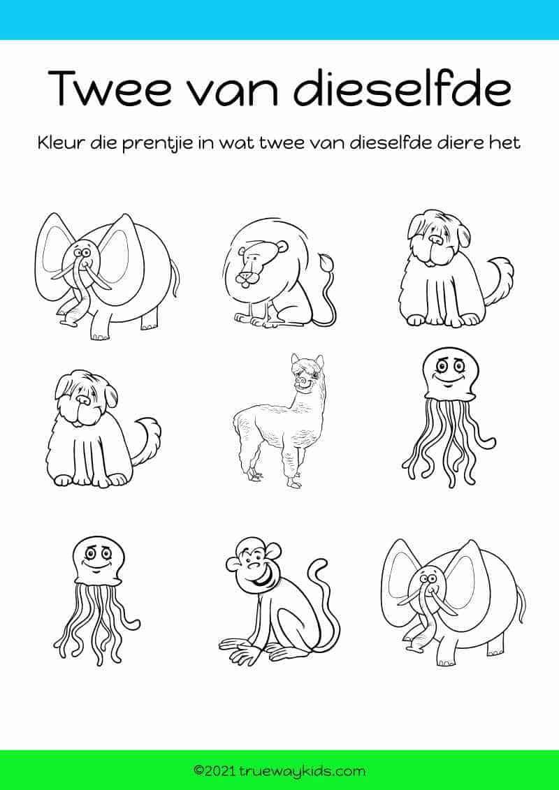 Prediker - Trueway Kids