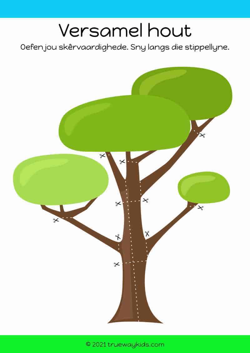 Die Byl wat Dryf - Trueway Kids