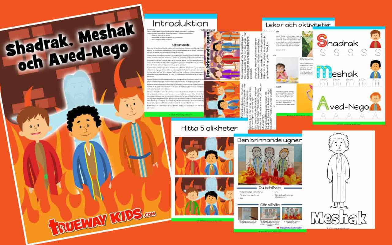 Shadrak, Meshak och Aved-Nego - Trueway Kids