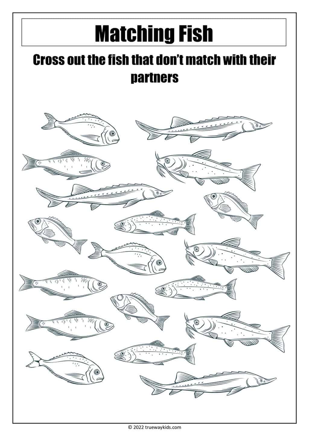 FISHERS OF MEN - Free printable Bible lessons for youth - Trueway Kids