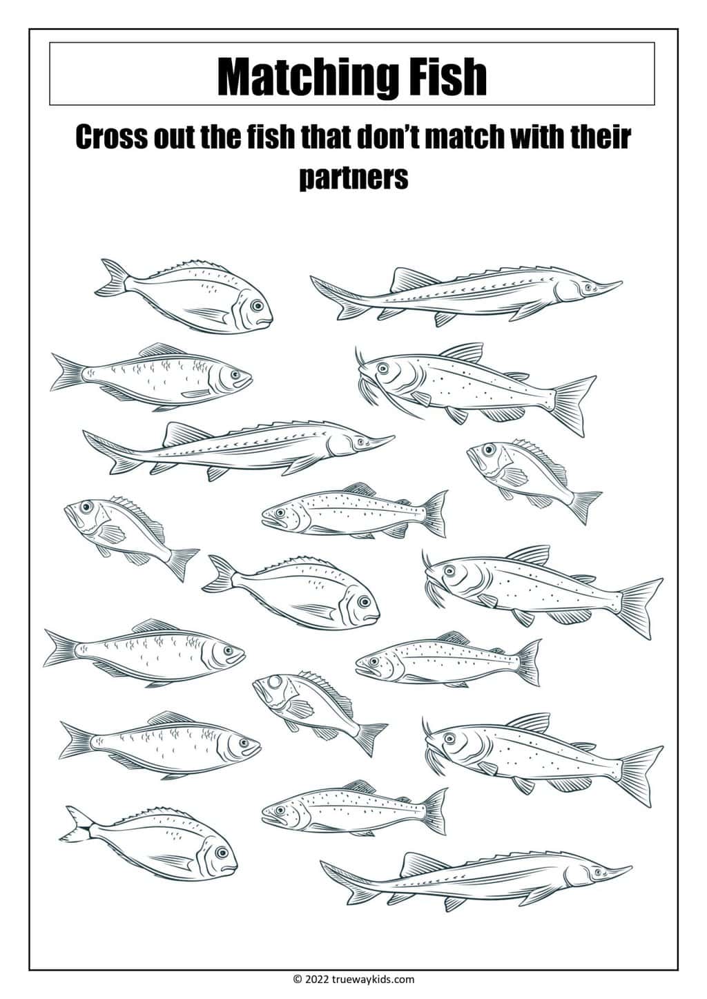 FISHERS OF MEN (LUKE 5:1-11) - TEEN BIBLE LESSON - Trueway Kids