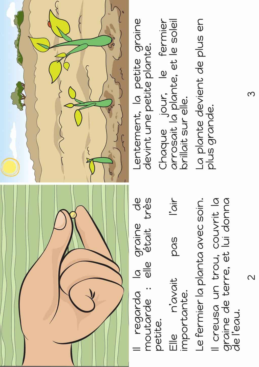 La parabole de la graine de moutarde - Trueway Kids