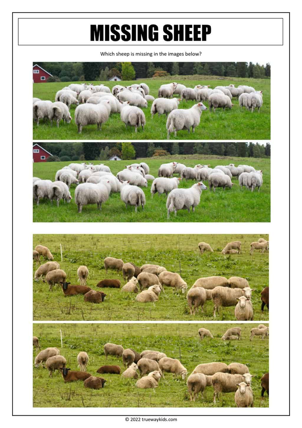 THE PARABLES OF THE LOST SHEEP AND COIN - LUKE 15:1-10 (Teen Bible ...