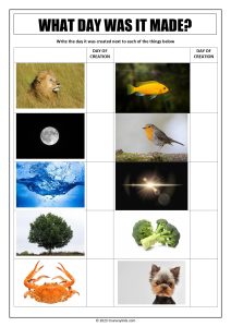 CREATION - GENESIS 1 (Teen Bible lesson) - Trueway Kids