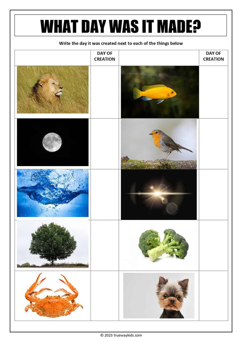 CREATION - GENESIS 1 (Teen Bible lesson) - Trueway Kids