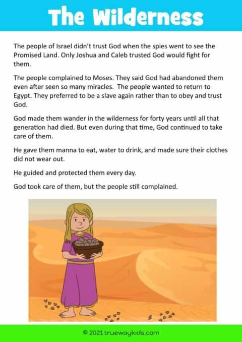 40 Years in the Wilderness (5-10 year old Bible lesson pack) - Trueway Kids
