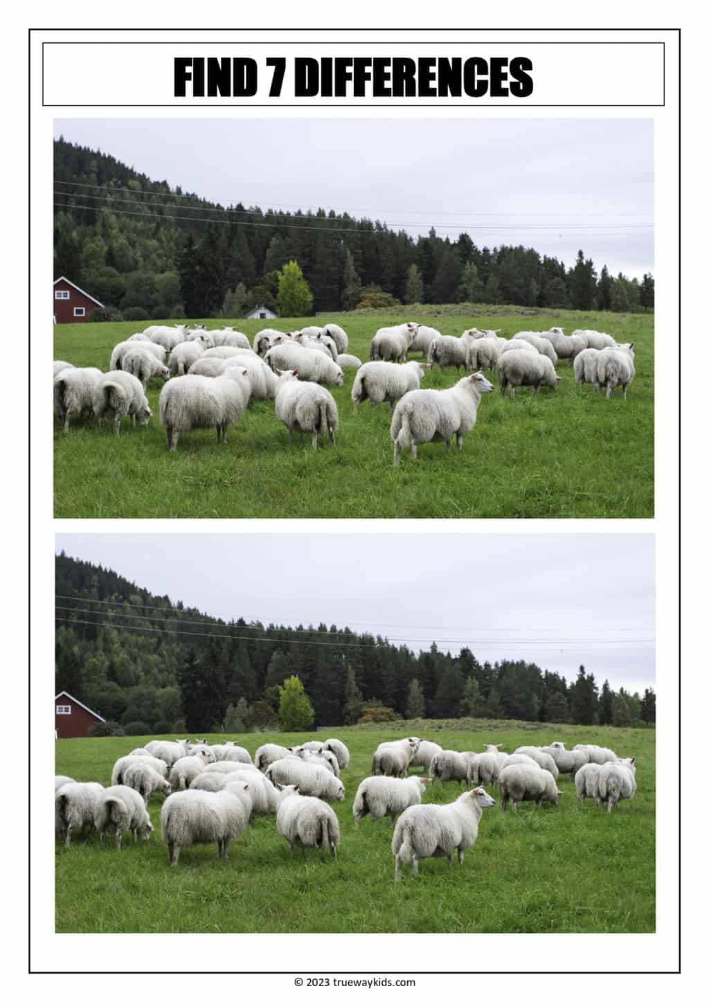 David's anointing - 1 Samuel 16:1-13 (Bible lesson for teens - Trueway Kids