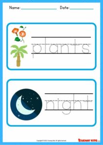 Module 1 - God's Amazing Creation - Learning pack - Trueway Kids