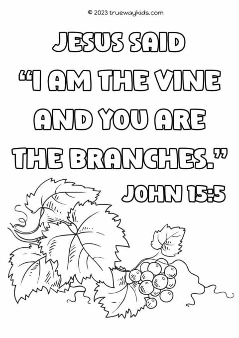 From Garden to Gospel - Harvest Bible lesson for kids - Trueway Kids