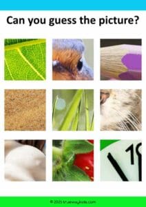 Esther (5 – 10 year old lesson pack) - Trueway Kids