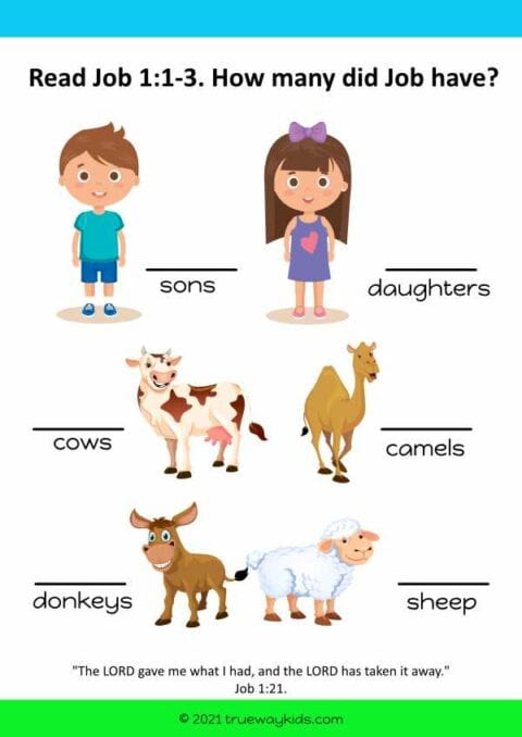 Job (5 – 10 year old lesson pack) - Trueway Kids