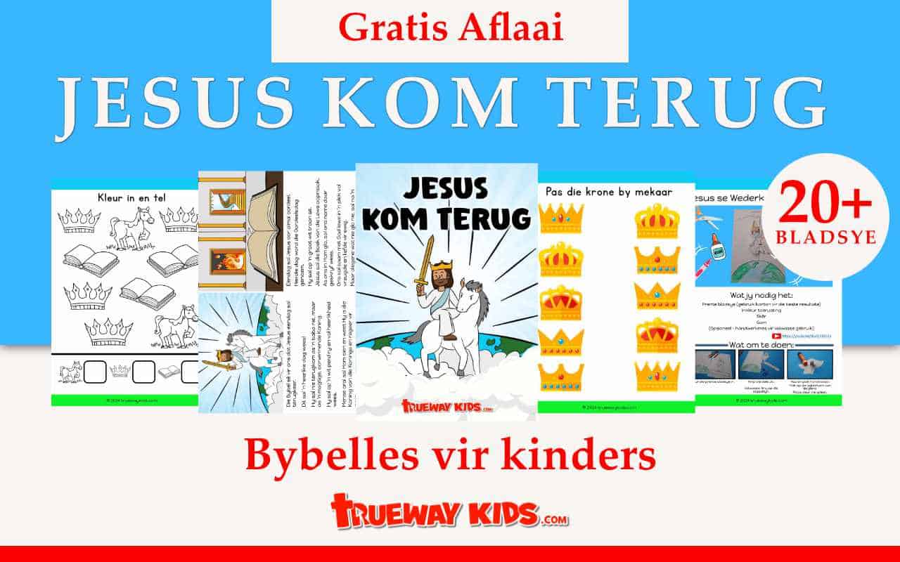 Jesus kom terug - Bybellesse vir kinders - Trueway Kids