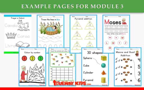 Module 3: Moses (Educational learning pack for kids) - Trueway Kids